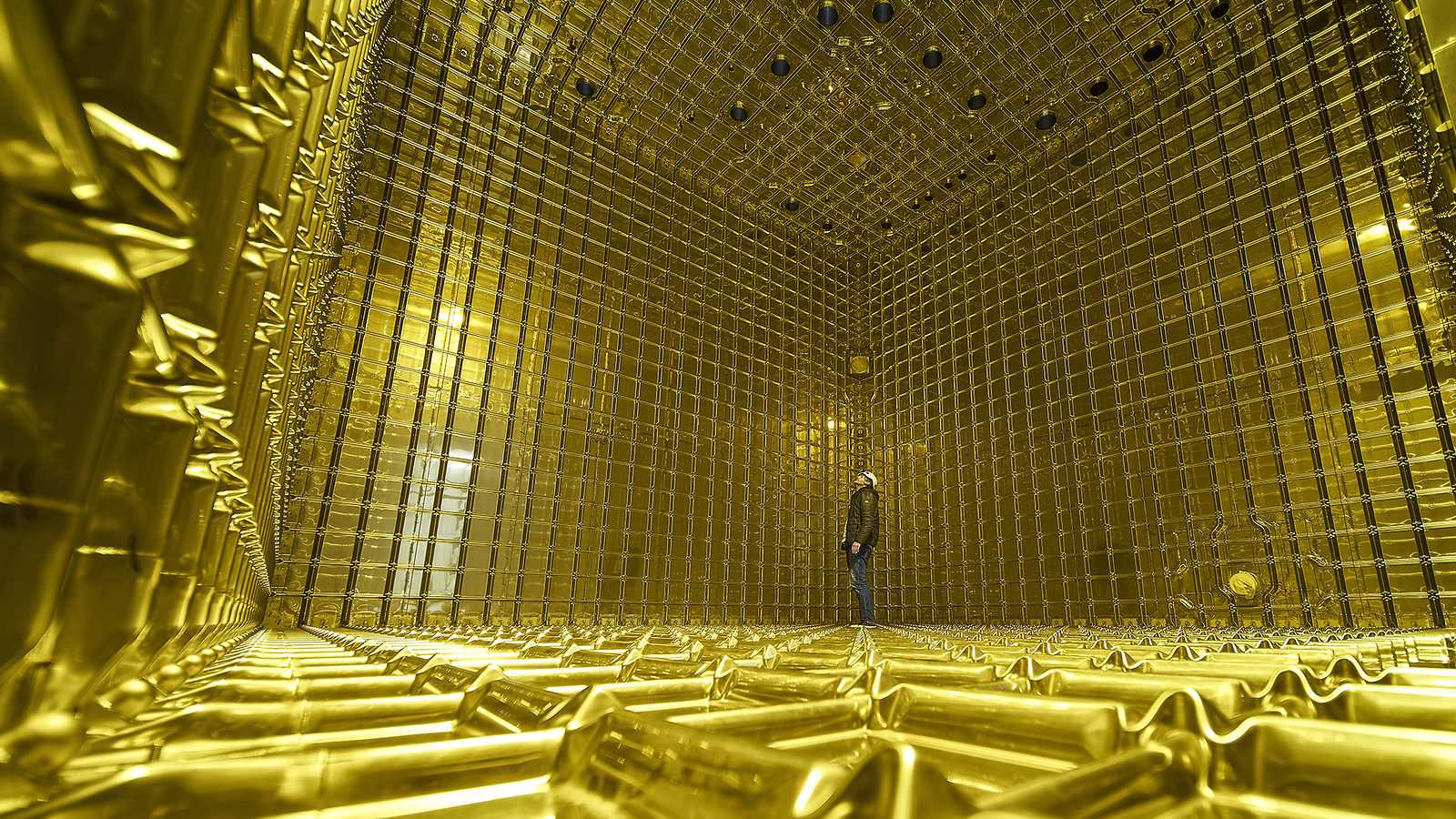 Fermilab MicroBoone: No Sign of Sterile Neutrinos – The Acronym | IMSA ...