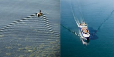 The Physics of Water Wakes – Hadron