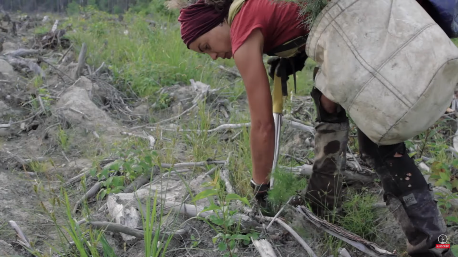 The Overlooked Labor of Tree Planters – Hadron