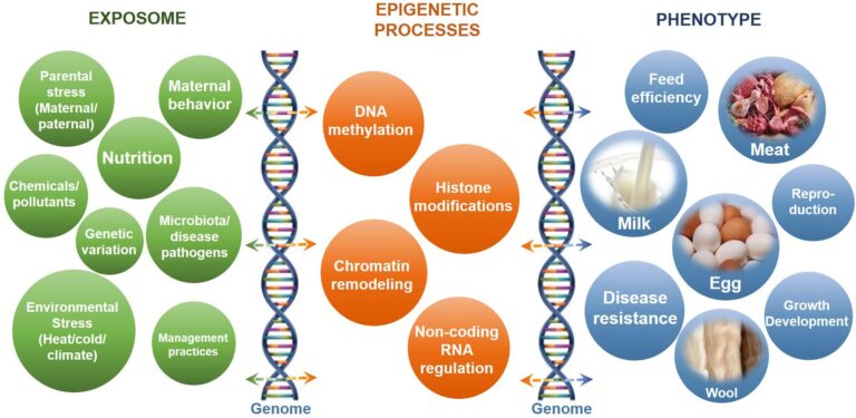 How Our Environment Shapes Our Genes - Hadron