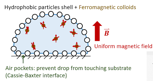 Harnessing Magnetic Fields for Precise Ferrofluid Droplet Motion – Hadron