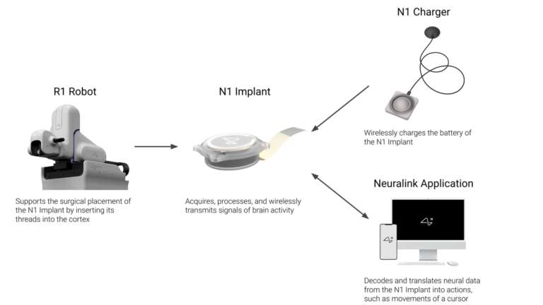 Linking Brains and Machines: Neuralink’s Bold Vision – Hadron
