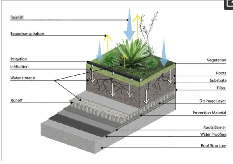 The role of Urban Green Spaces in Combating Climate Changes - Hadron