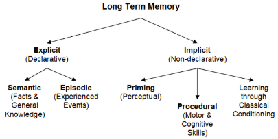 The Effect of the Human Subconscious on Behavior and Decision Making ...